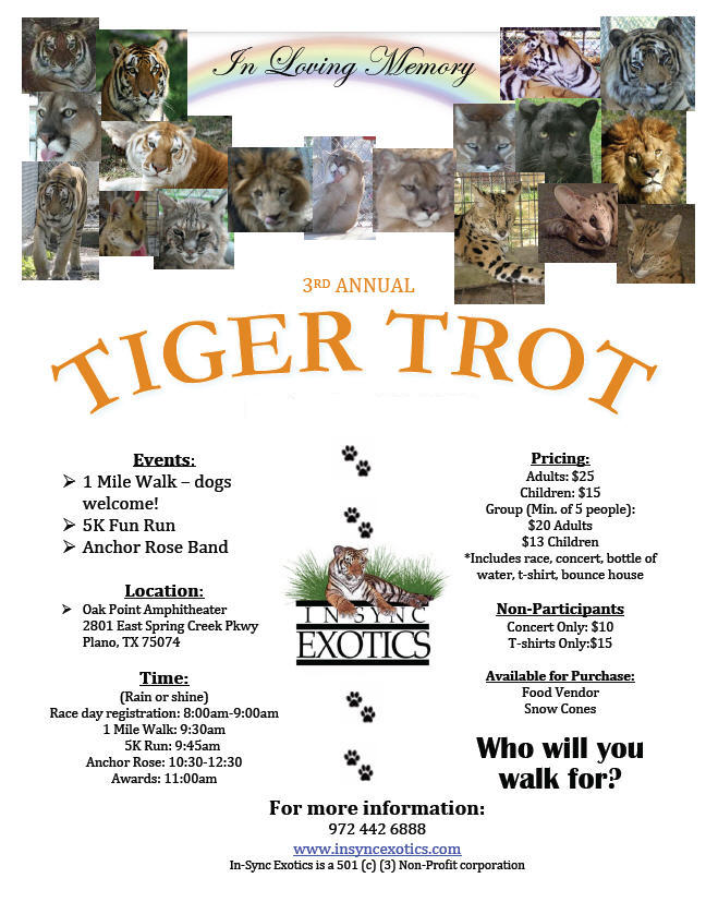 Tiger Trot to honor memory of exotic cats – Blue Ribbon News