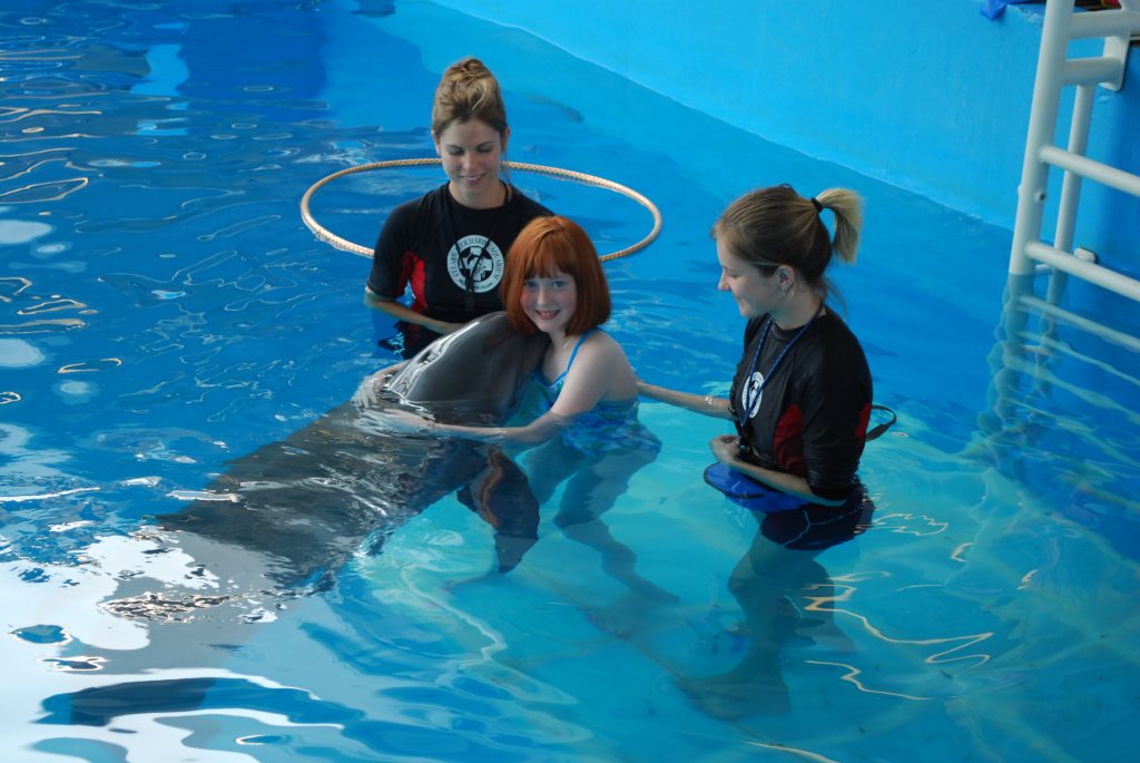 Winter, star of Dolphin Tale, shares connection with Garland girl ...