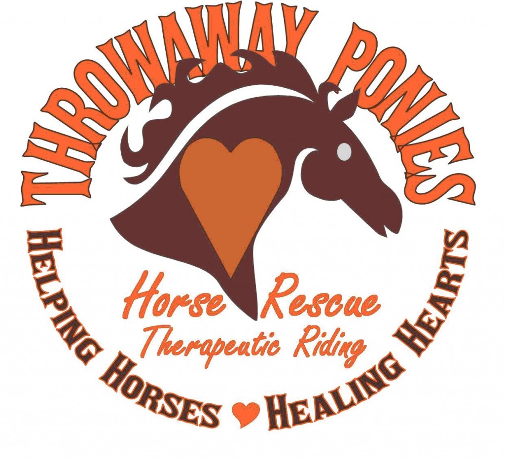 Meet Miss Melody, ready for a new home – Blue Ribbon News