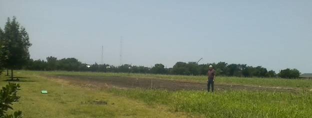 FUMC Rockwall gives back with Community Garden – Blue Ribbon News