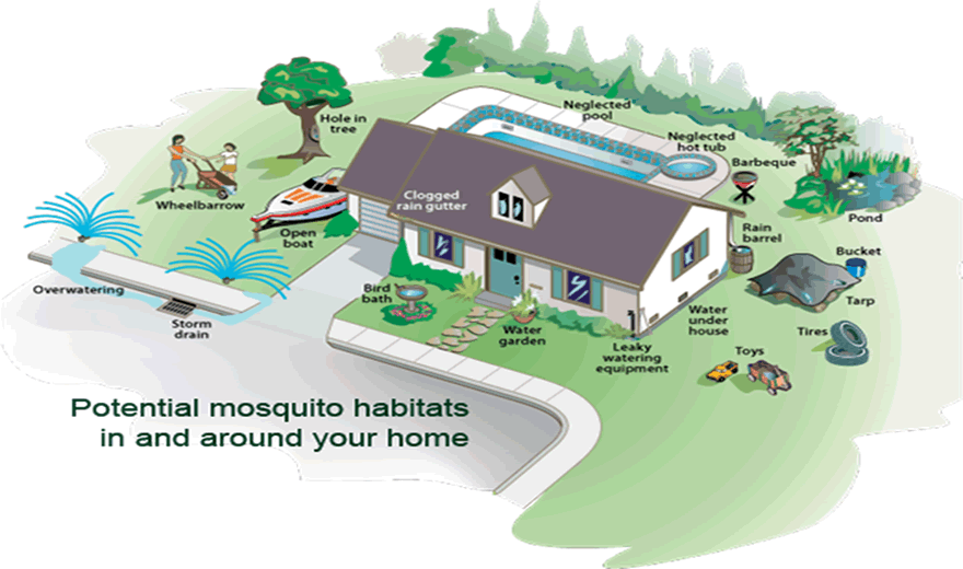 Heath launches Mosquito Surveillance/Abatement Program – Blue Ribbon News