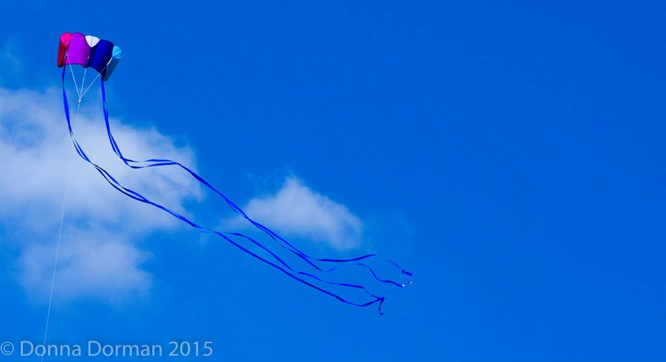 Families enjoy Kite Fly-In at Raymond Cameron Lake – Blue Ribbon News