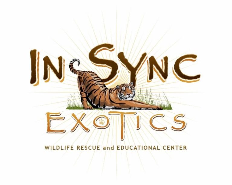 An epic Easter Egg Hunt happens at In-Sync Exotics – Blue Ribbon News