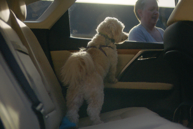 alvey 2 WEB – Blue Ribbon News