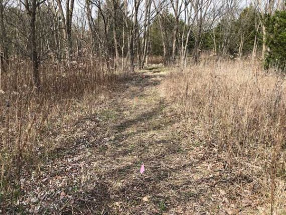 Rockwall welcomes new Pettinger Nature Preserve with ribbon cutting ...