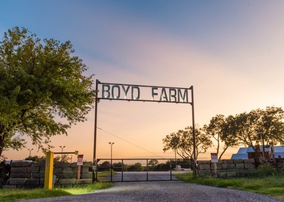 Ain’t Life Grand-ish: Head to historic Boyd Farm for unique spin on ...