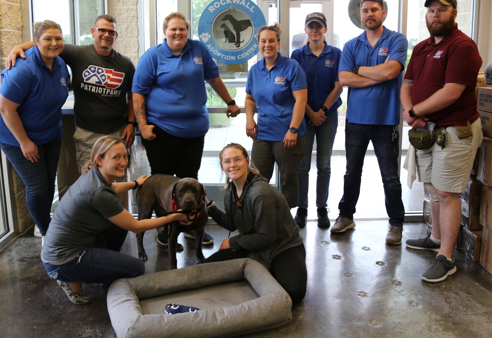 Patriot PAWS Service Dogs receives grant, shares hundreds of dog beds ...