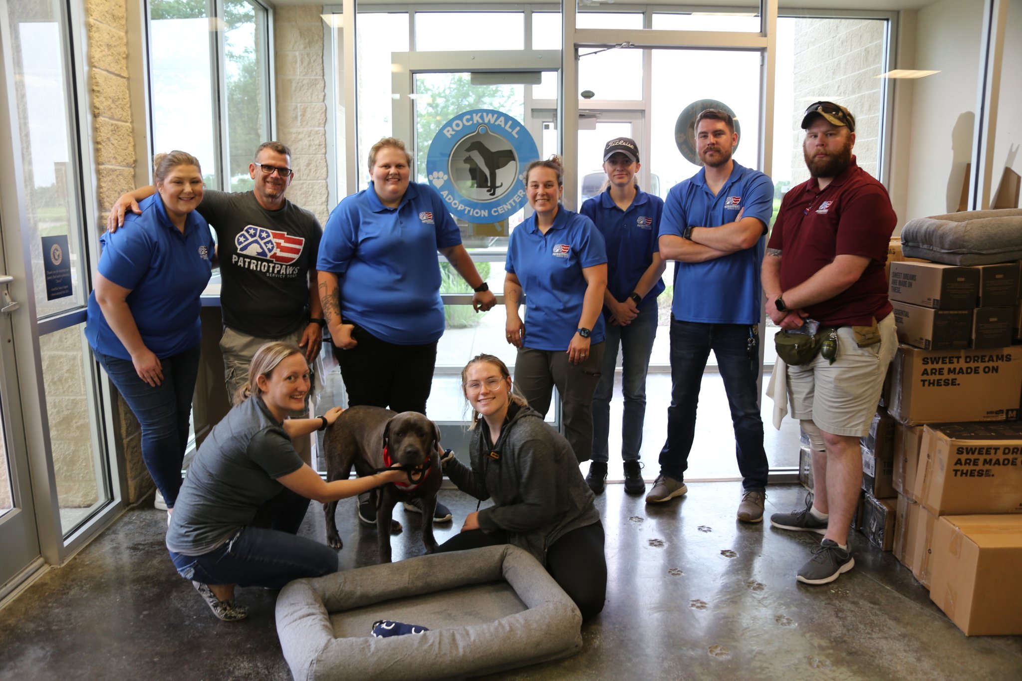 Patriot PAWS Service Dogs receives grant, shares hundreds of dog beds ...