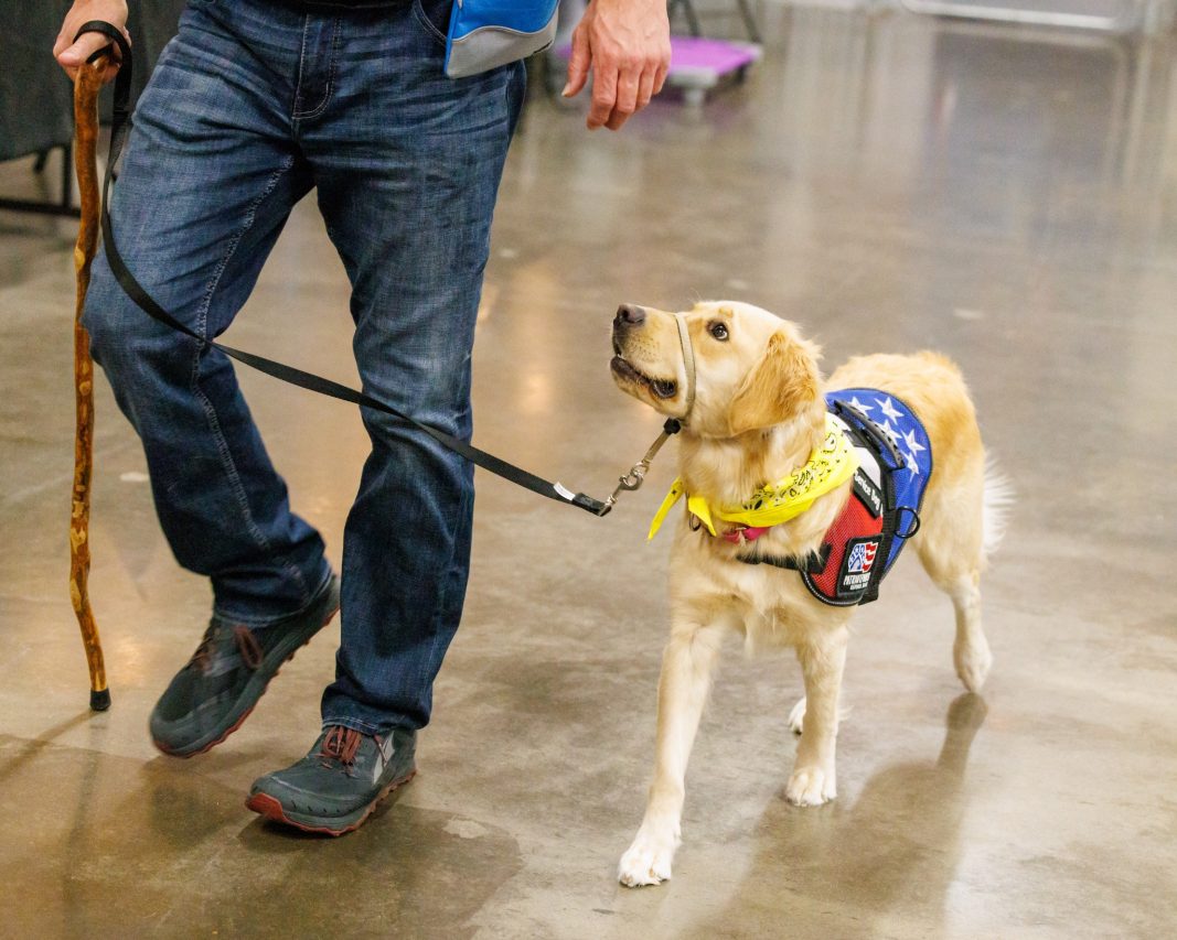Patriot PAWS hosts Winter 2023 Veteran/Service Dog Graduation, Ribbon ...