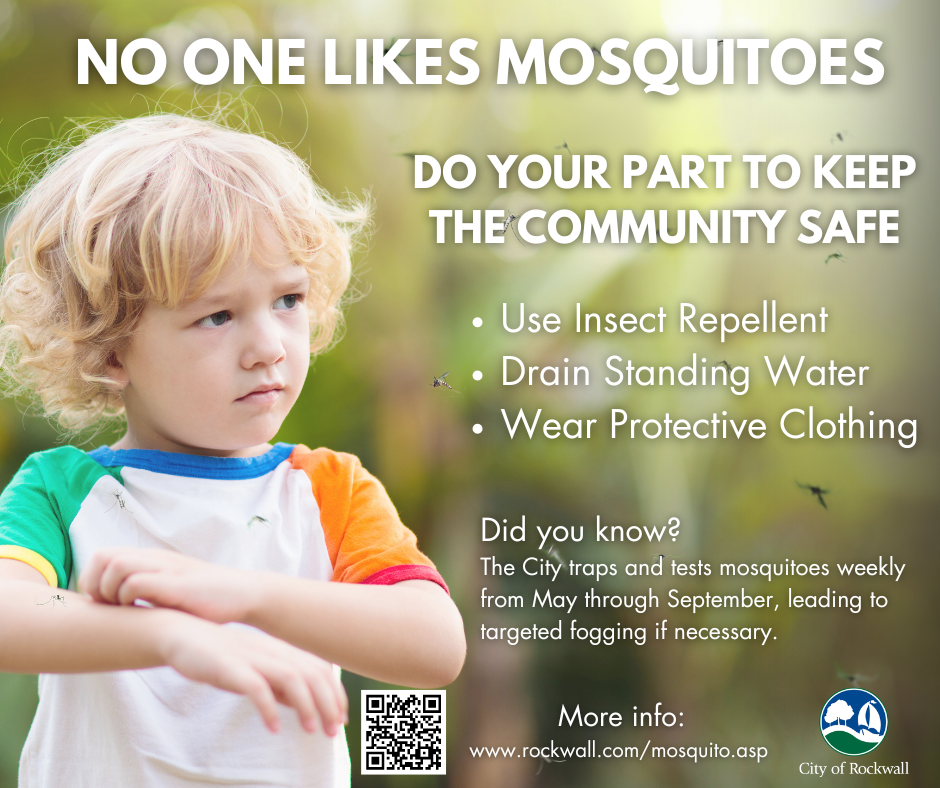Heavy Rainfall Prompts Rockwall to Encourage Mosquito Safety Measures ...