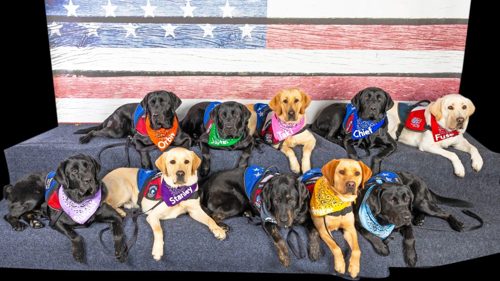 Patriot PAWS Service Dogs celebrates graduation of five new Veteran ...