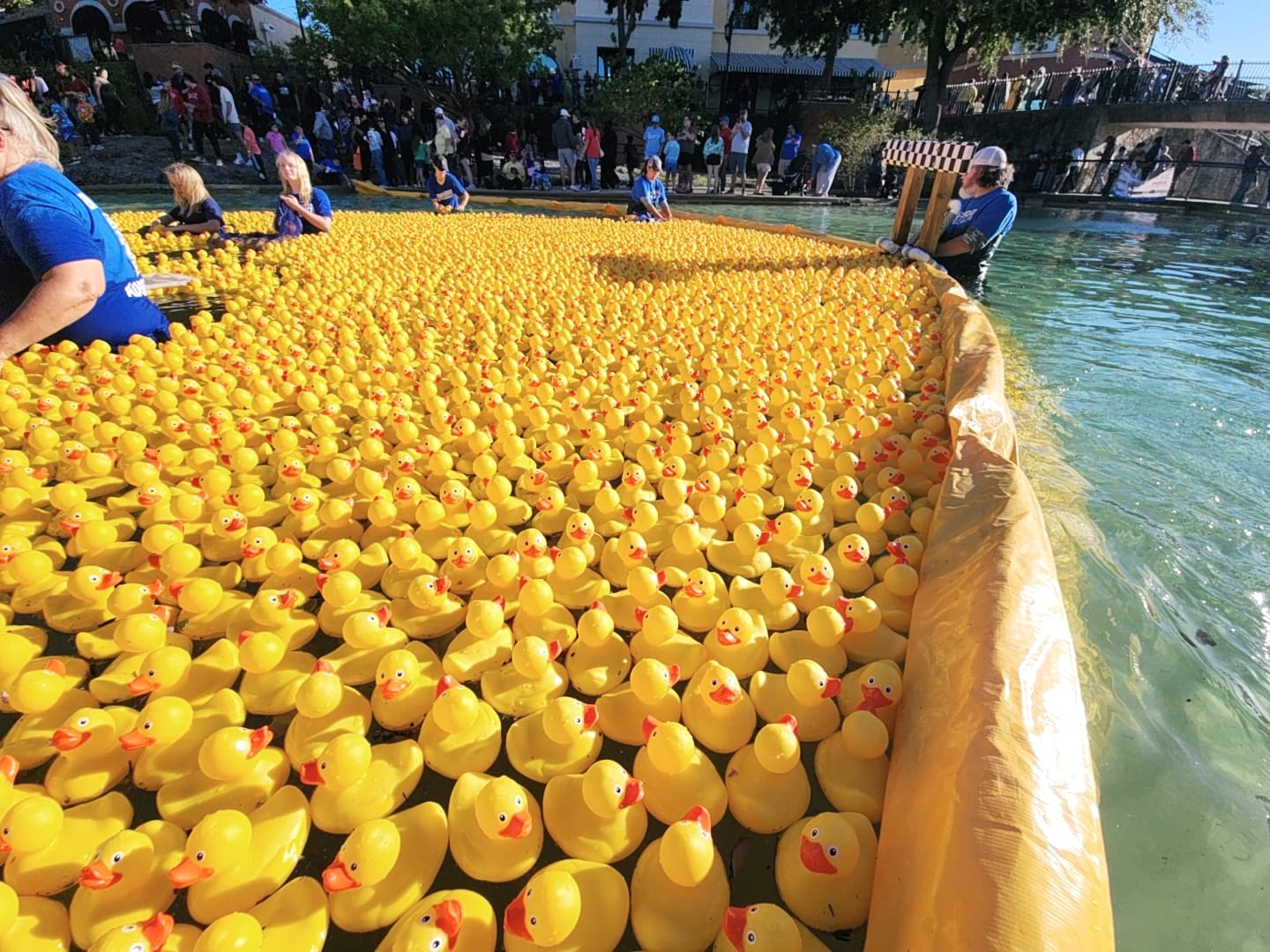 Rubber Duck Regatta & Jeep Festival returns to Rockwall – Duck Sales ...